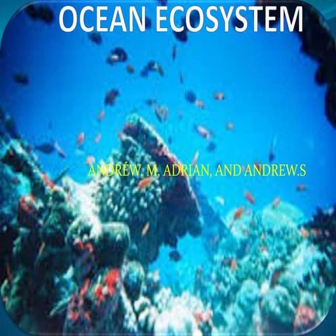 Ocean ecosystem | PPTX