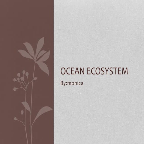Ocean ecosystem summative | PPT