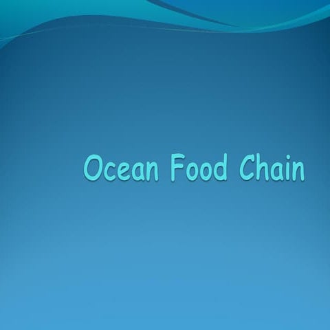 Ocean food chain | PPT