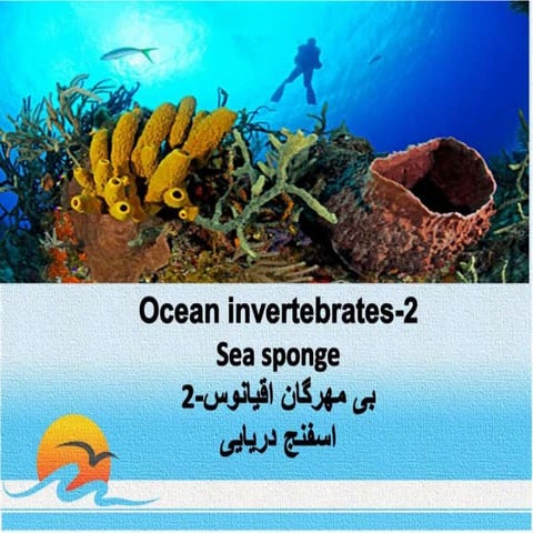 Ocean invertebrates- 2 | PPTX