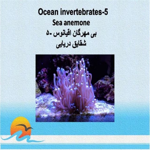 Ocean invertebrates- 5 | PPT