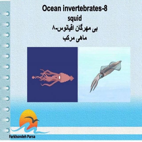 Ocean invertebrates -8 | PPT