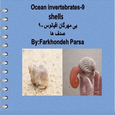 Ocean invertebrates- 9 | PPT