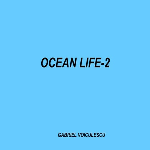Ocean Life 2 | PPS