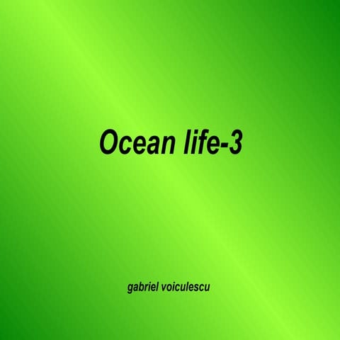 Spelling The Three Century Woman | PPTX