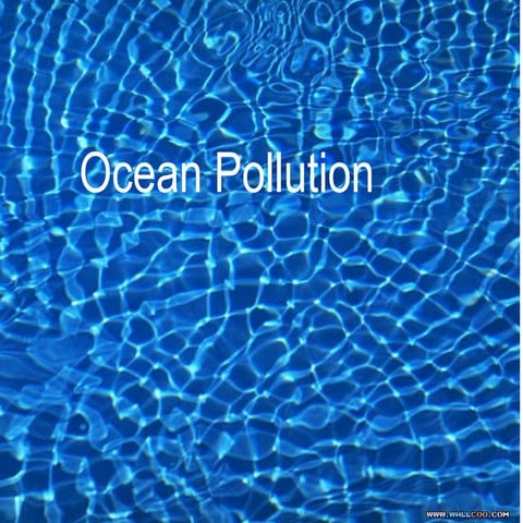 Ocean Pollution | PPT