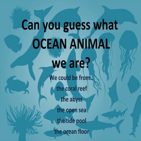 Ocean riddles | PPT