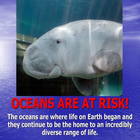 Oceans are at risk | PDF