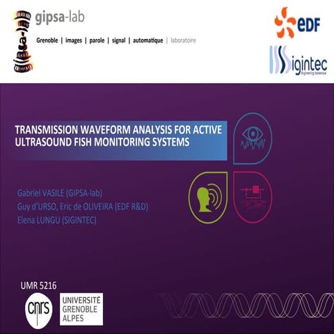 Transmission Waveform Analysis for Active Ultrasound Fish Monitoring ...