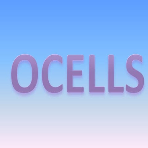 Ocells | PPTX