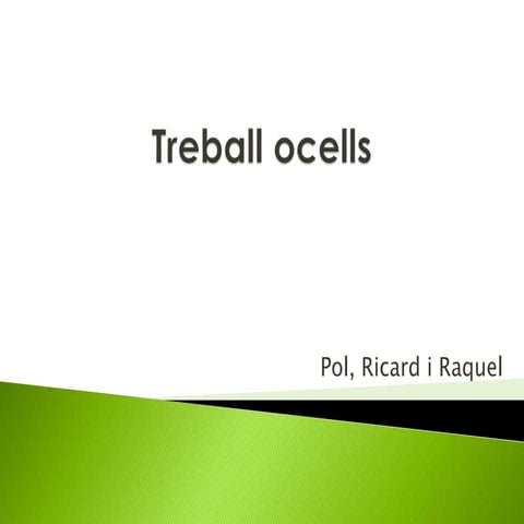 Ocells 5è A | PPTX