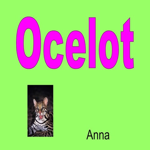 Ocelot | PPT