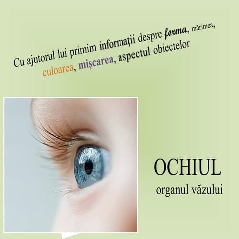 Ochiul | PPT