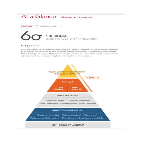 Oci company info | PDF