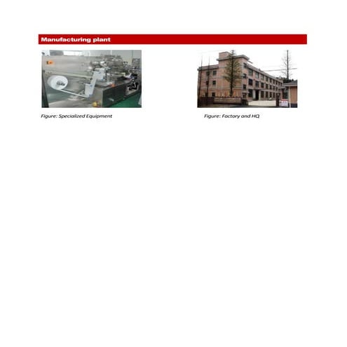 Octagon manufacturing plant | DOCX