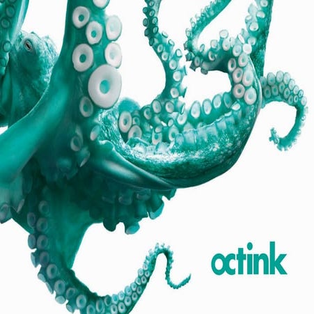 Octink Brochure 2013 | PDF
