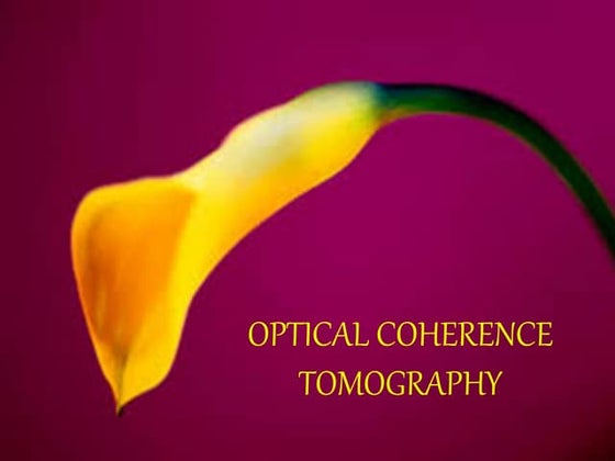 Optical Coherence Tomography Basics In Ophthalmology Ppt 8698
