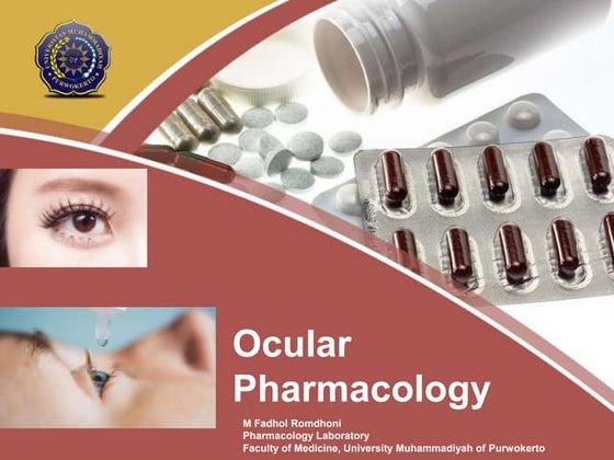 DRUGS IN OPHTHALMOLOGY | PPTX | Eye and Vision Conditions | Diseases ...