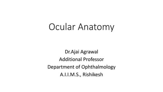 anatomy of the eyeball | PPT