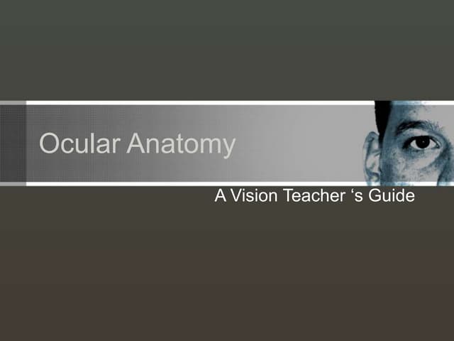 Anatomy_of_Eyeball_Presentation (1).pptx