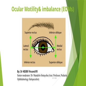 Ocular Motility, Extra-Ocular Muscles NDORI.pptx