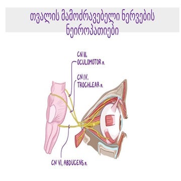 ocular motor nerves.pptx