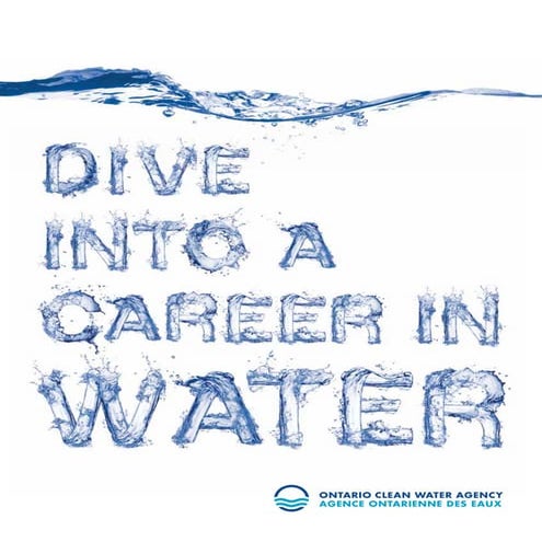 Dive Into a Career In Water | PDF
