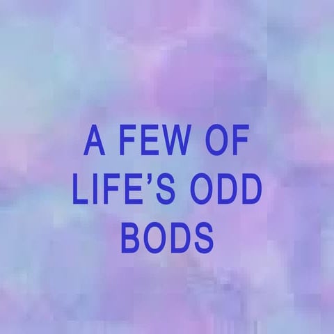 Odd bods | PPS