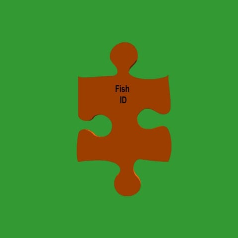 Fish Identification | PPT