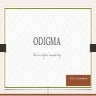 ODigMa | Digital Marketing agency in Bangalore | PDF