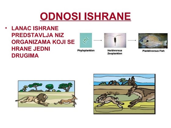 Prva pomoć | PPT