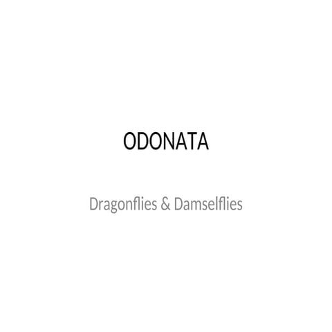 Insect Order odonata | PPTX