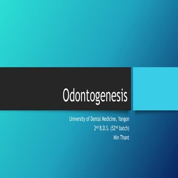 Odontogenesis | PPTX