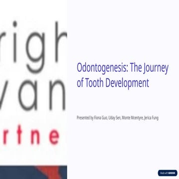 Odontogenesis-The-Journey-of-Tooth-Deveopment.pptx