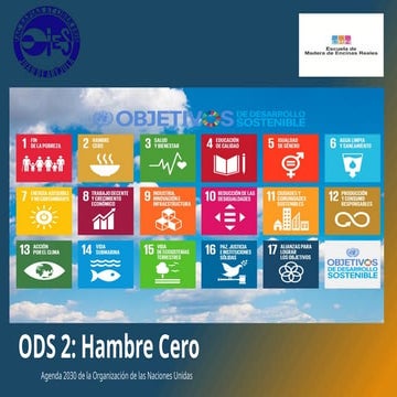 ODS_2_Hambre_Cero_Robert_Idrogo.pptxxxxxxx | PPTX