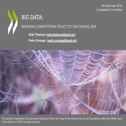 Big data: Bringing competition policy to the digital era – OECD ...