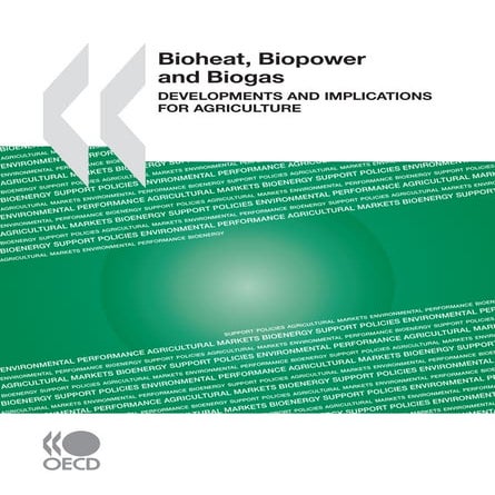 Bioheat, Biopower and Biogas - Developments and Implications for ...