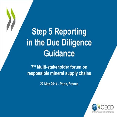 5 step reporting - 7th Multi-Stakeholder Forum on Responsible Mineral ...