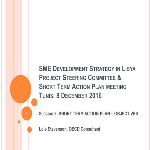 SME DEVELOPMENT STRATEGY IN LIBYA PROJECT STEERING COMMITTEE | PDF