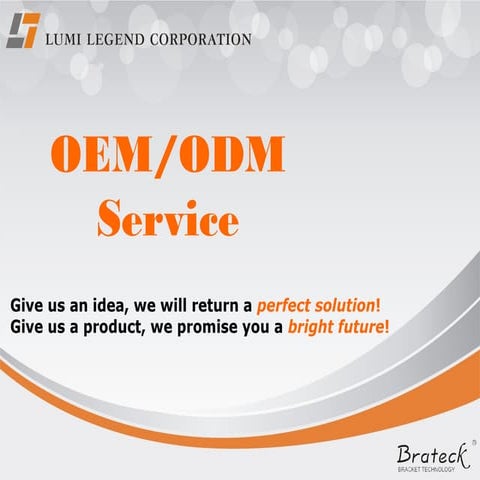 OEM/ODM Service | PPT