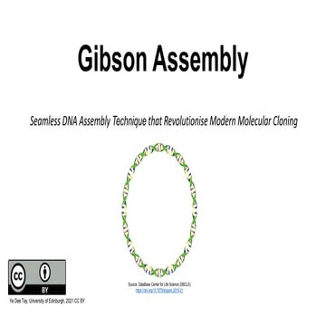 Gibson Assembly: a seamless molecular cloning technique | PPTX