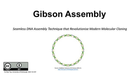 Gibson Assembly in Cloning | PPTX | Chemistry | Science