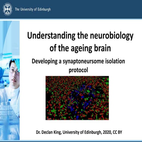 Understanding the neurobiology of the ageing brain | PPTX