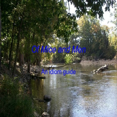 Of Mice And Men Chapt1 Idioms | PPT