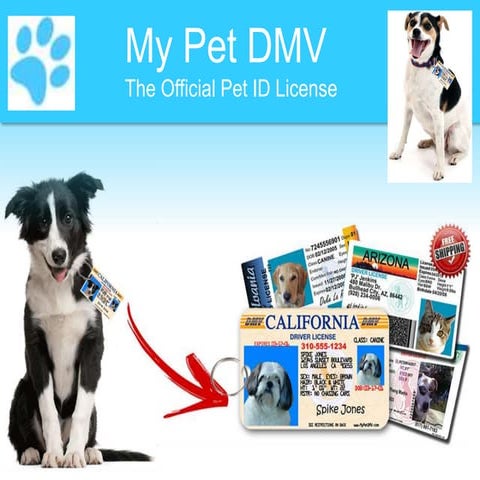 Official USA Made Drivers License ID For Dogs | My Pet DMV | PPTX