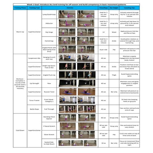 Off season conditioning for the swimmer | PDF
