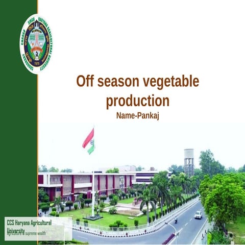Off season vegetable production | PPTX