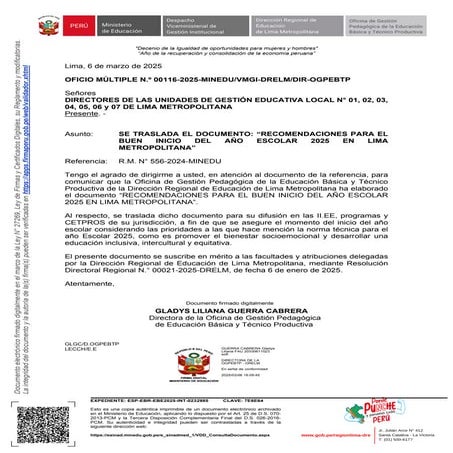 oficio-multiple-no-00116-2025-mineduvmgi-drelmdir-ogpebtp-1742328065.pdf