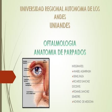 Anatomía de los párpados | PPTX