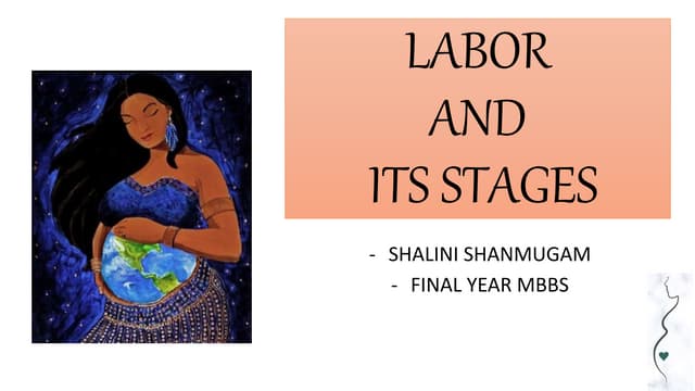 Physiological changes during third stage of labor | PPTX | Pregnancy ...